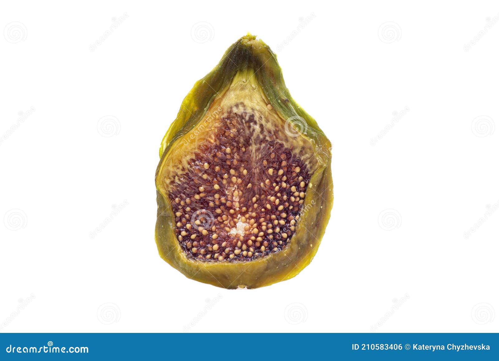 Dehydrated Fig Slice Isolated on White Stock Photo - Image of calorie ...