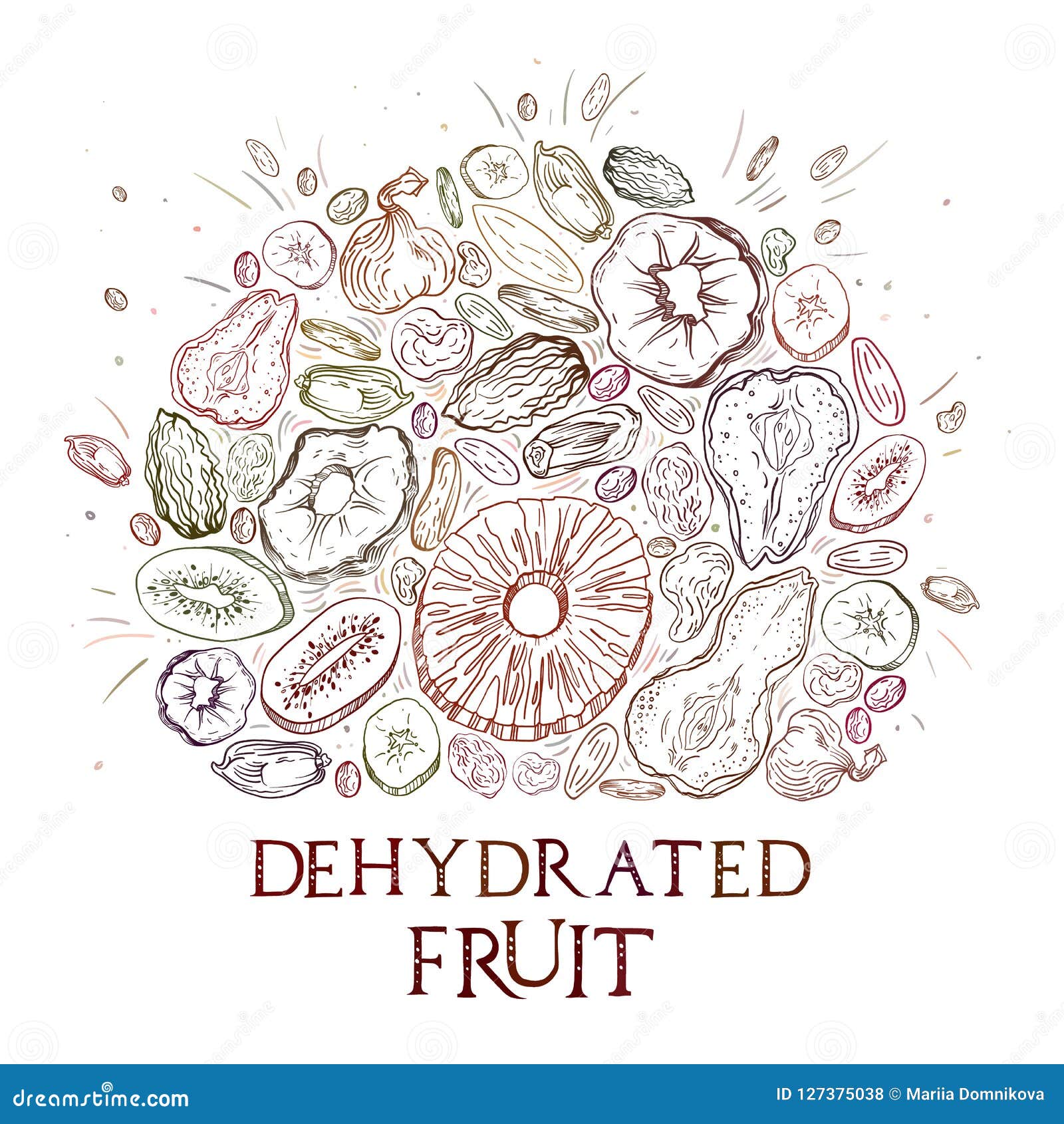 Dehydrated fruit pattern stock vector. Illustration of agriculture ...