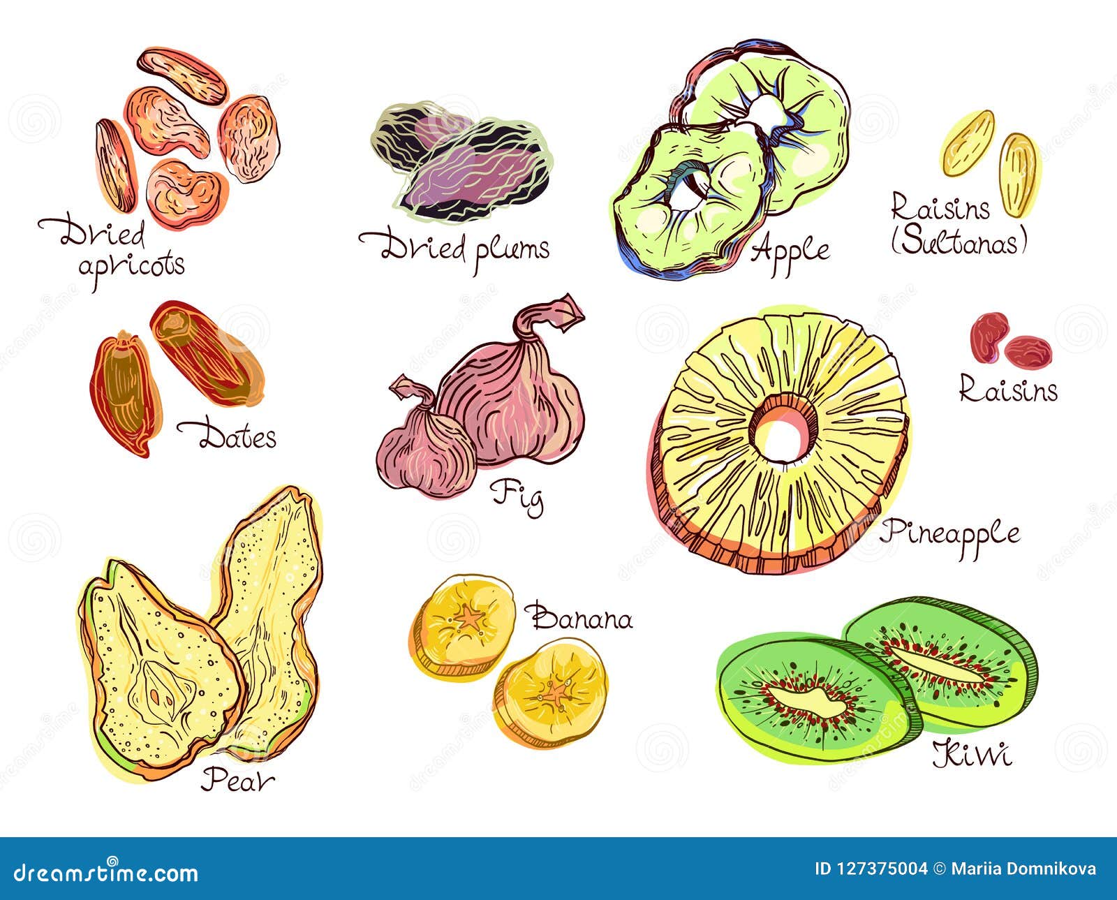 Dehydrated fruit set stock vector. Illustration of agriculture - 127375004