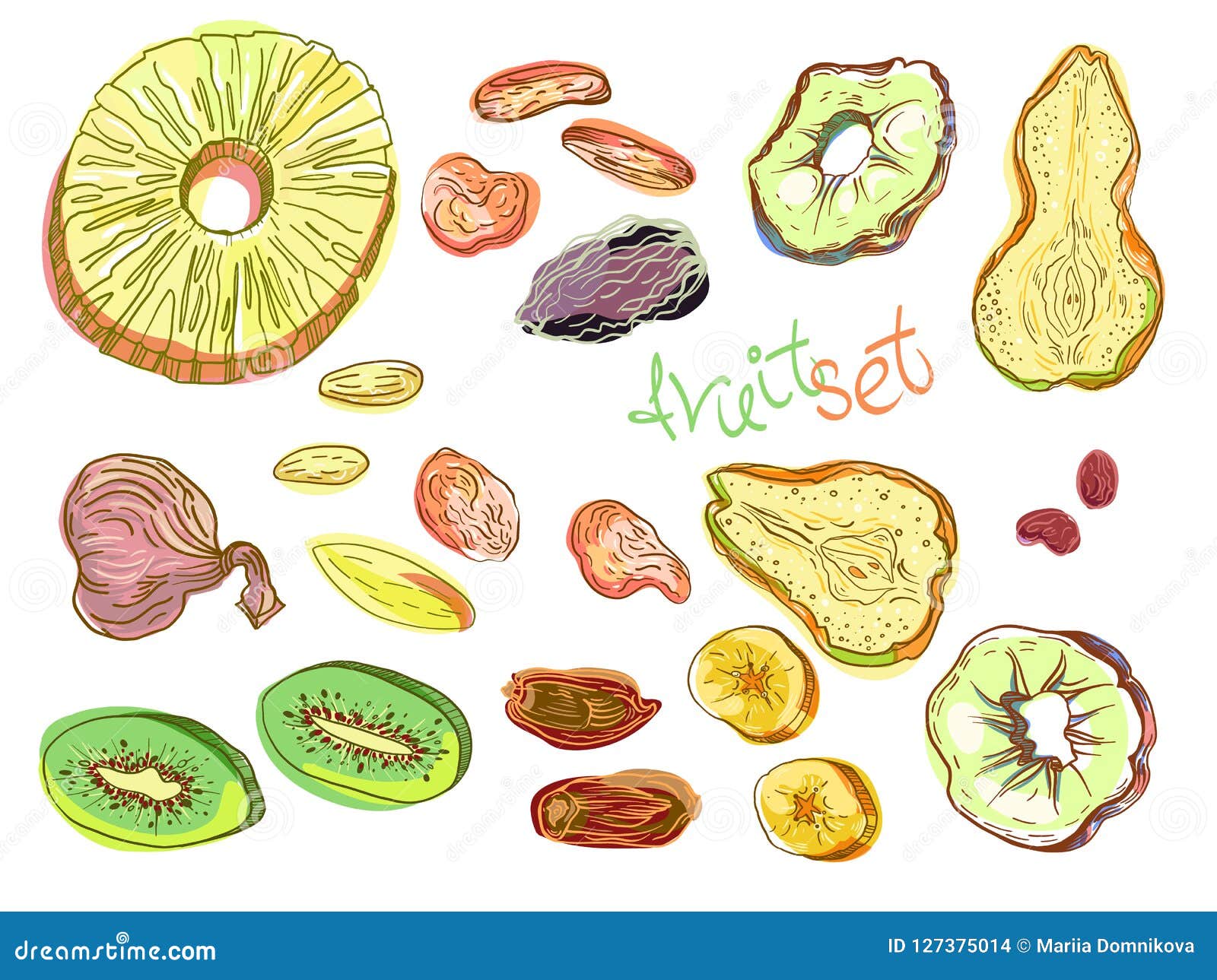 Dehydrated fruit set stock vector. Illustration of design - 127375014