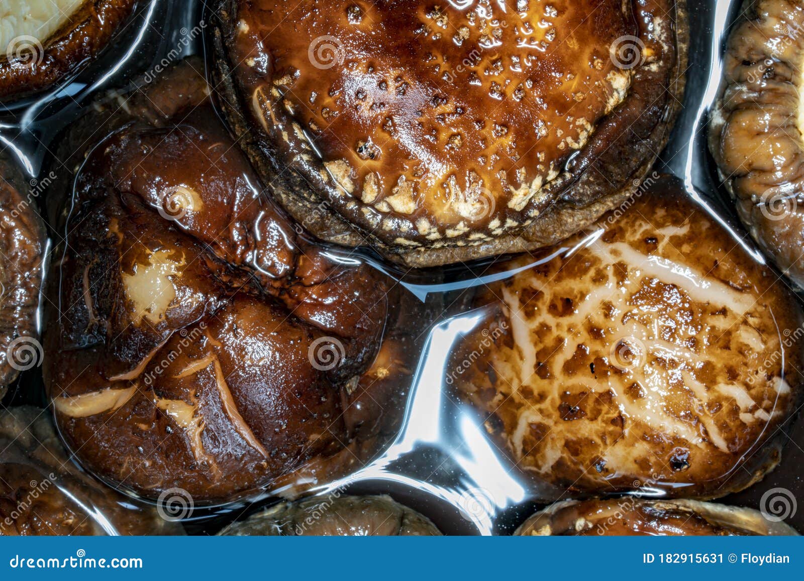 Dehydrated Shiitake Mushrooms Soaked in Water Stock Image - Image of ...