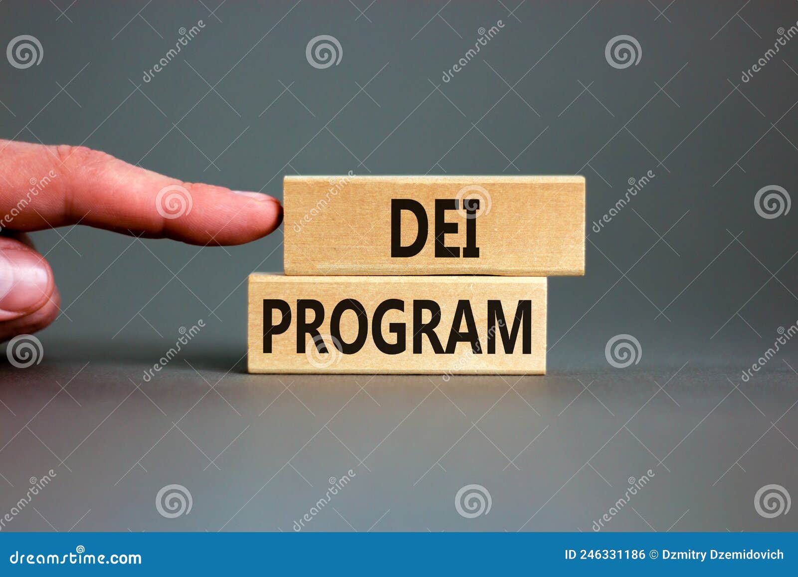 DEI Diversity Equity Inclusion Program Symbol. Blocks with Words DEI ...
