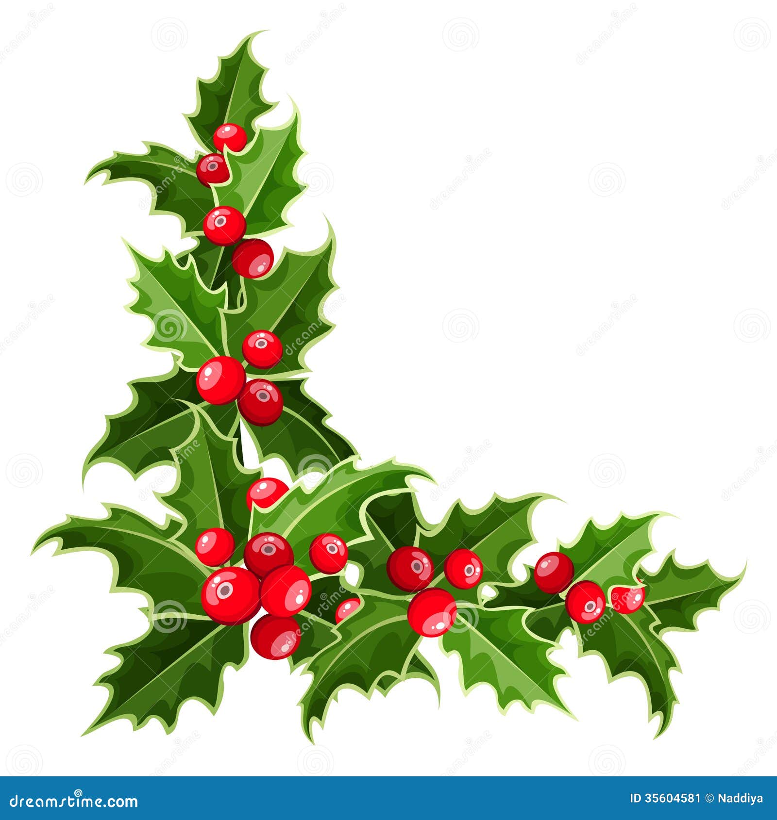 Dekorative Ecke Clipart 205 Dekorative Ecken Clipart SVG PNG Vektor