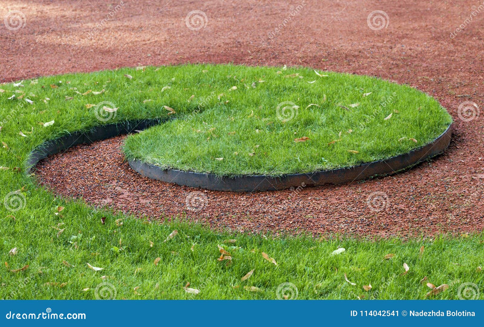 Dekorativer Rasen in Einem Park Stockbild - Bild von rasen, grün: 114042541