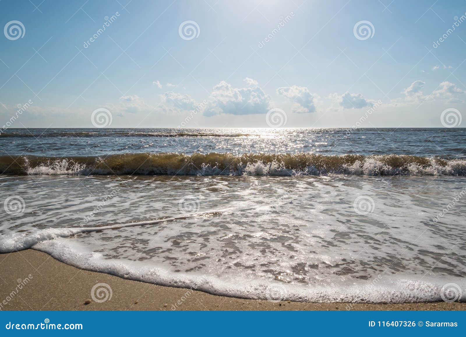 Delaware Bay Shore. stock photo. Image of sparkle, serene - 116407326