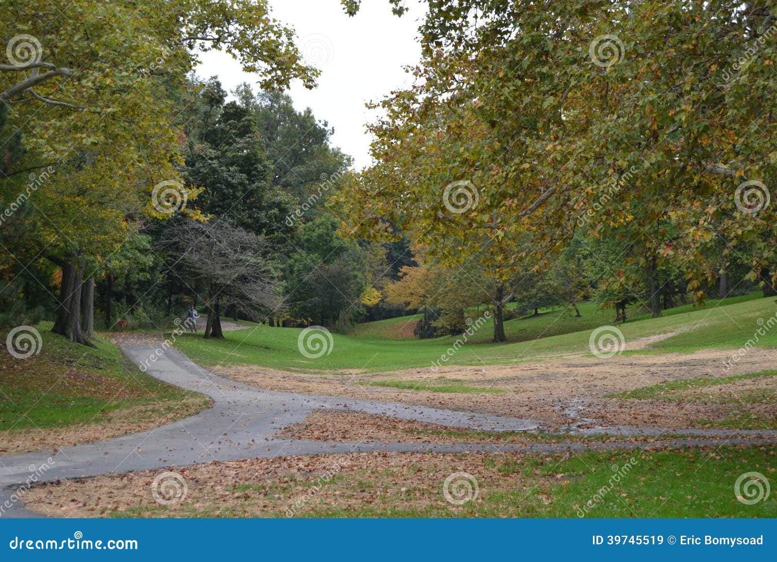 Delaware Park in the Fall stock image. Image of nature - 39745519