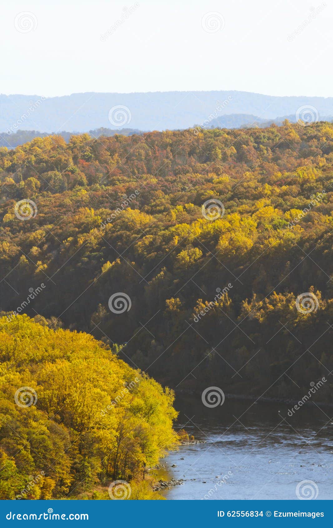 Delaware River Autumn stock photo. Image of forest, outdoor - 62556834