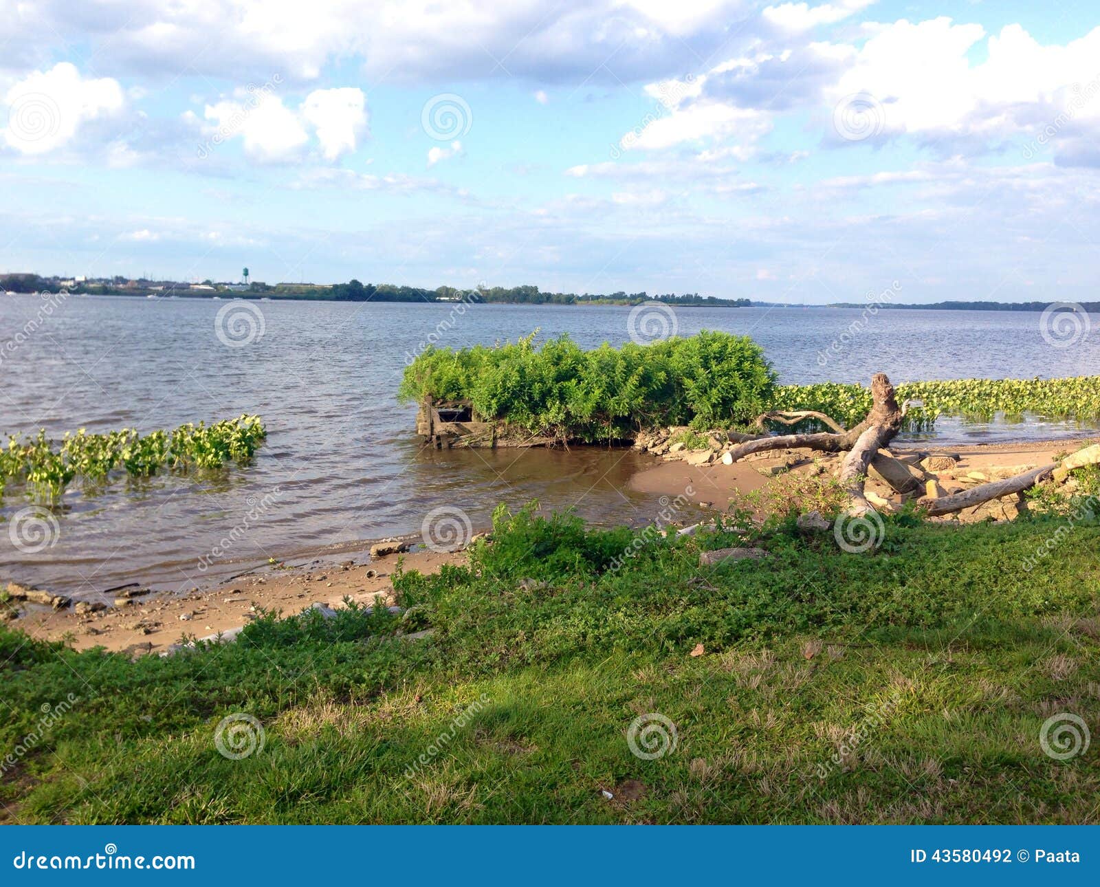 Delaware River editorial photography. Image of bank, tree - 43580492