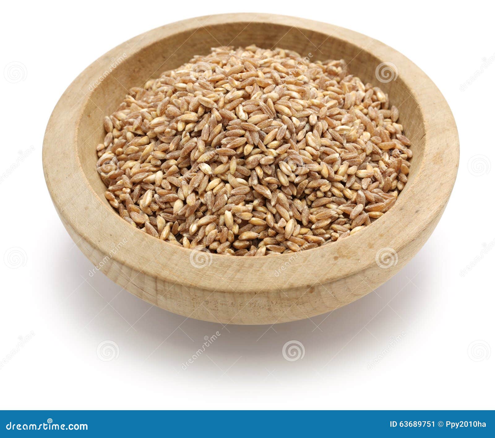 Deletreado, Farro, Trigo Primitivo Imagen de archivo - Imagen de ...