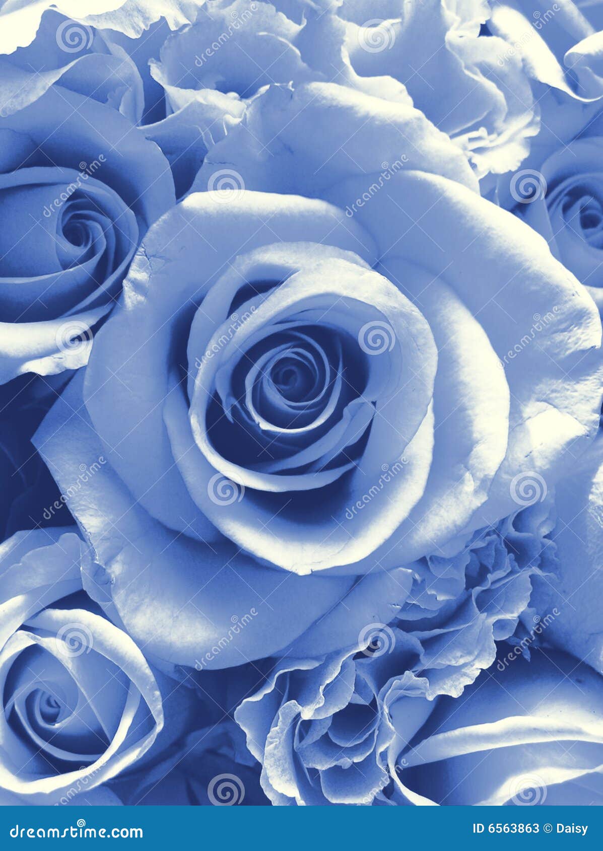 Delft Blue wedding bouquet stock image. Image of fragrant - 6563863