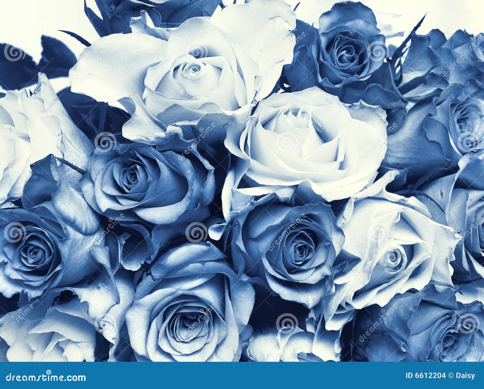 Delft Blue wedding bouquet stock photo. Image of artistic - 6612204