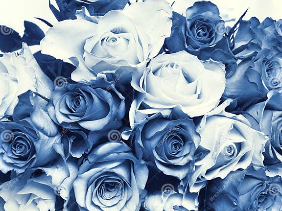Delft Blue wedding bouquet stock photo. Image of artistic - 6612204