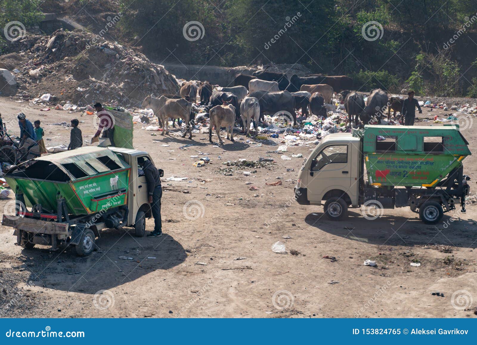 Delhi/India-25.02 editorial image. Image of india, animals - 153824765