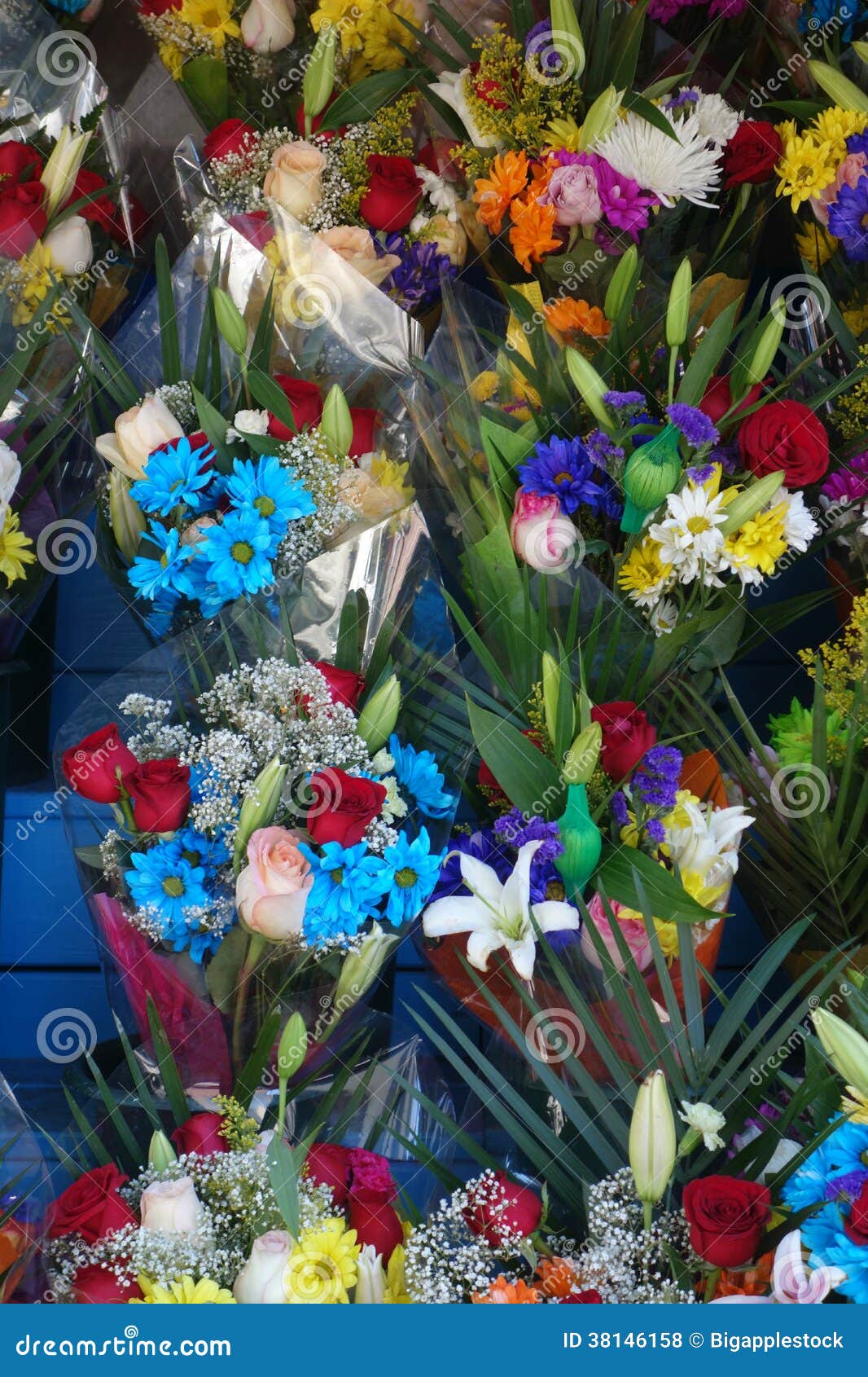 Deli Flowers stock photo. Image of colorful, york, blooms - 38146158