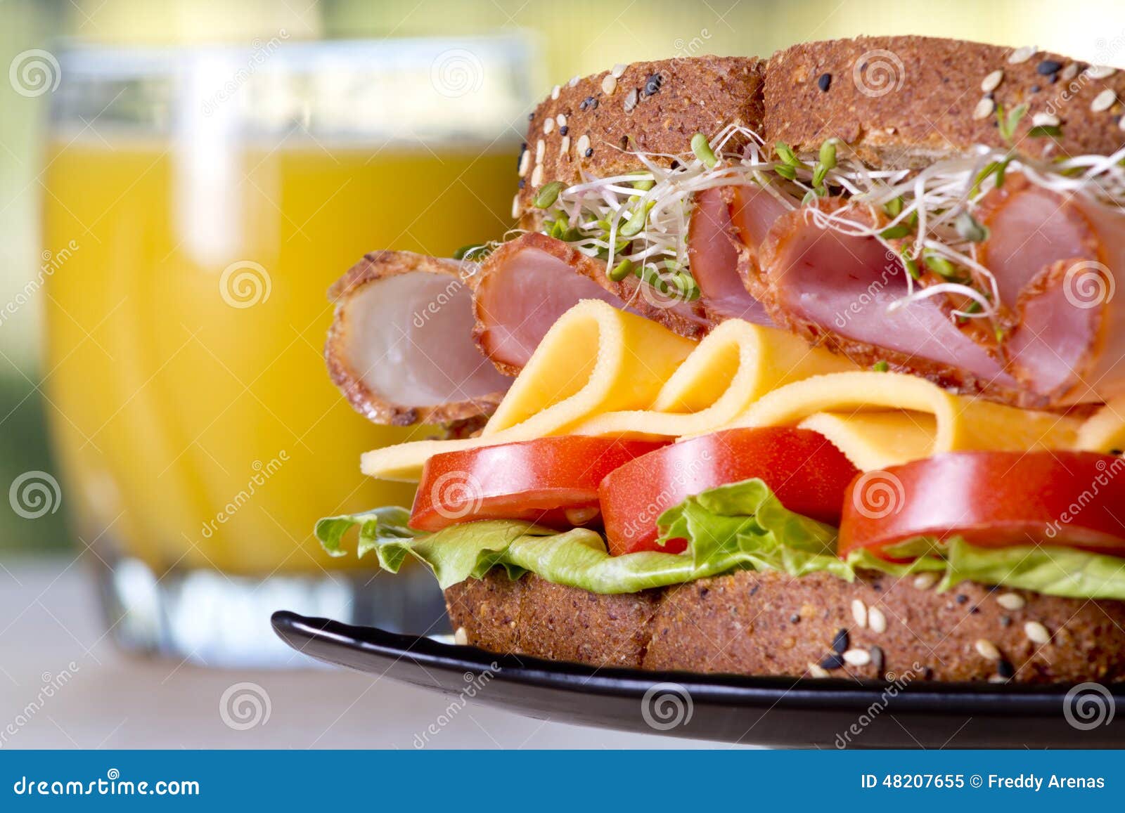 Deli Meat Sandwich with Turkey Stock Image - Image of cold, meal: 48207655