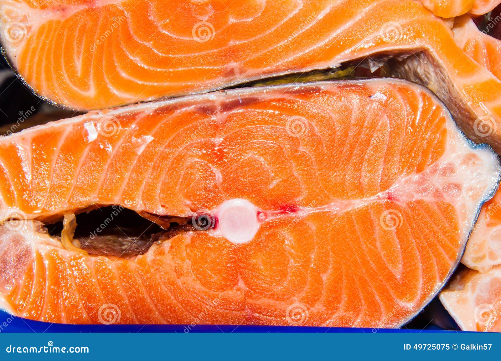 Delicacy fish stock image. Image of healthy, kitchen - 49725075