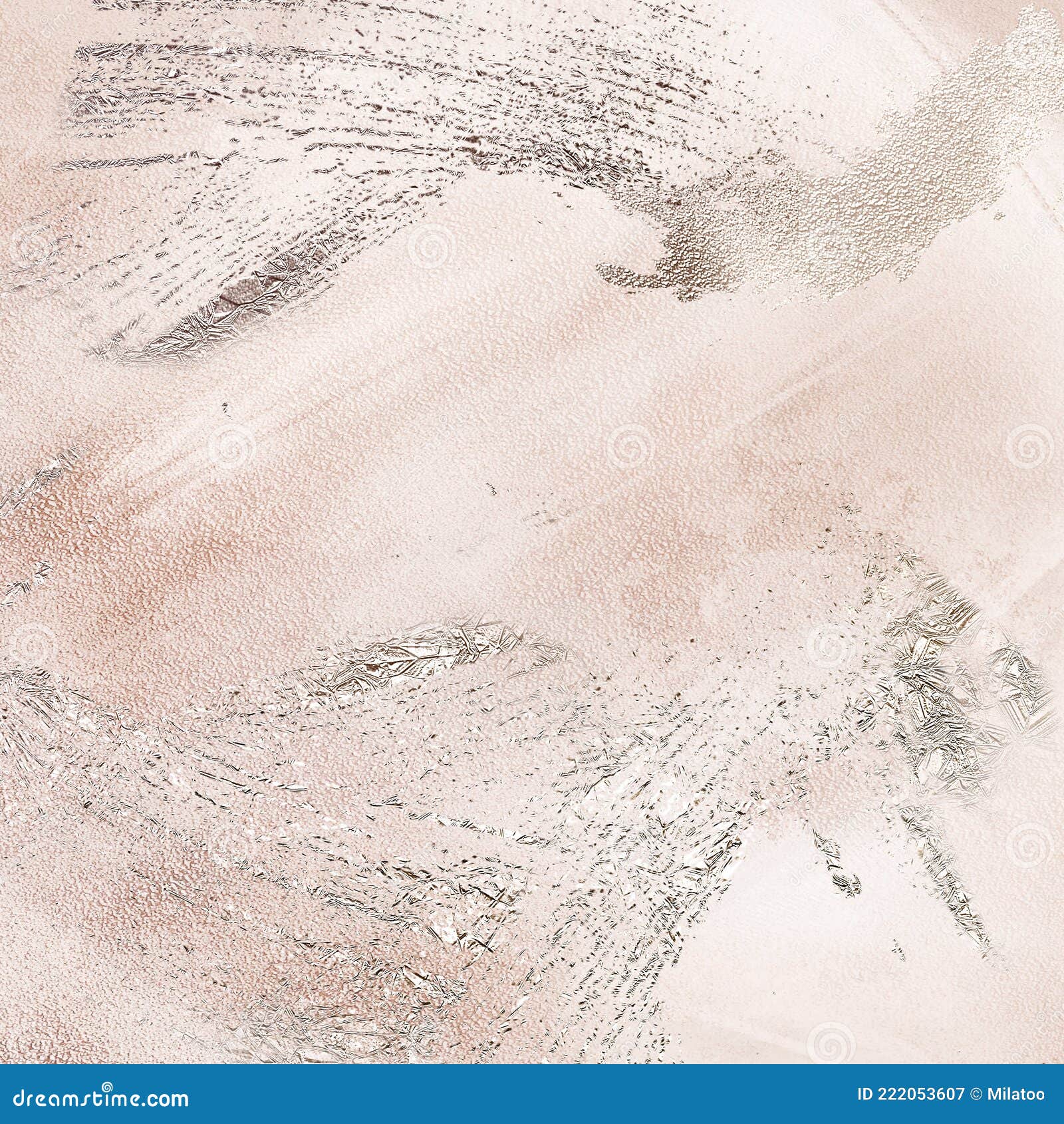 Silver Dust Dusty Miller Maritima Stock Photography | CartoonDealer.com ...