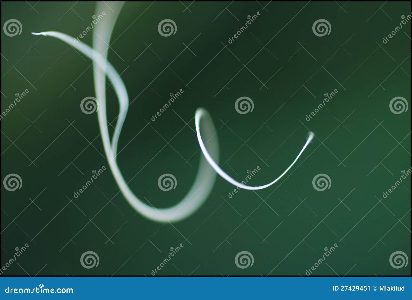 Delicate color stock image. Image of decoration, curves - 27429451