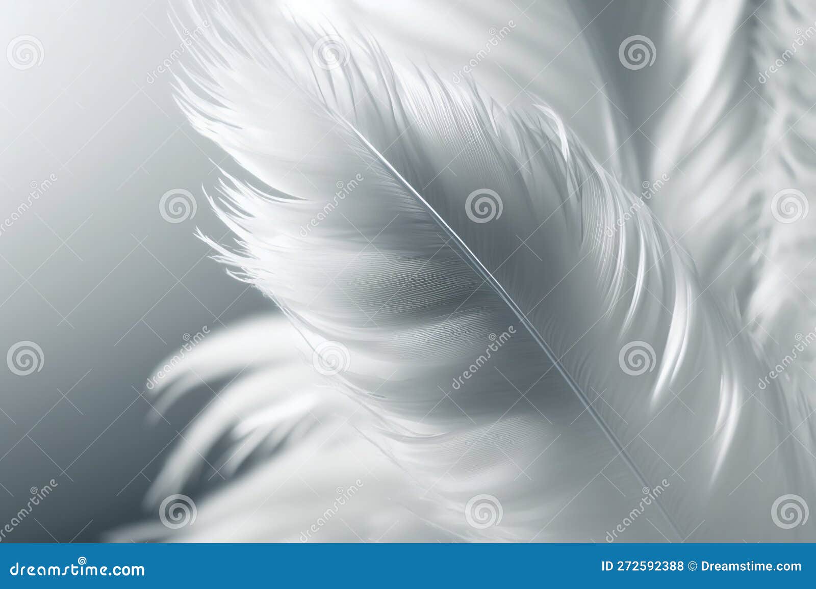 Delicate Elegant White Feather on Solid Background. Generative AI Stock ...
