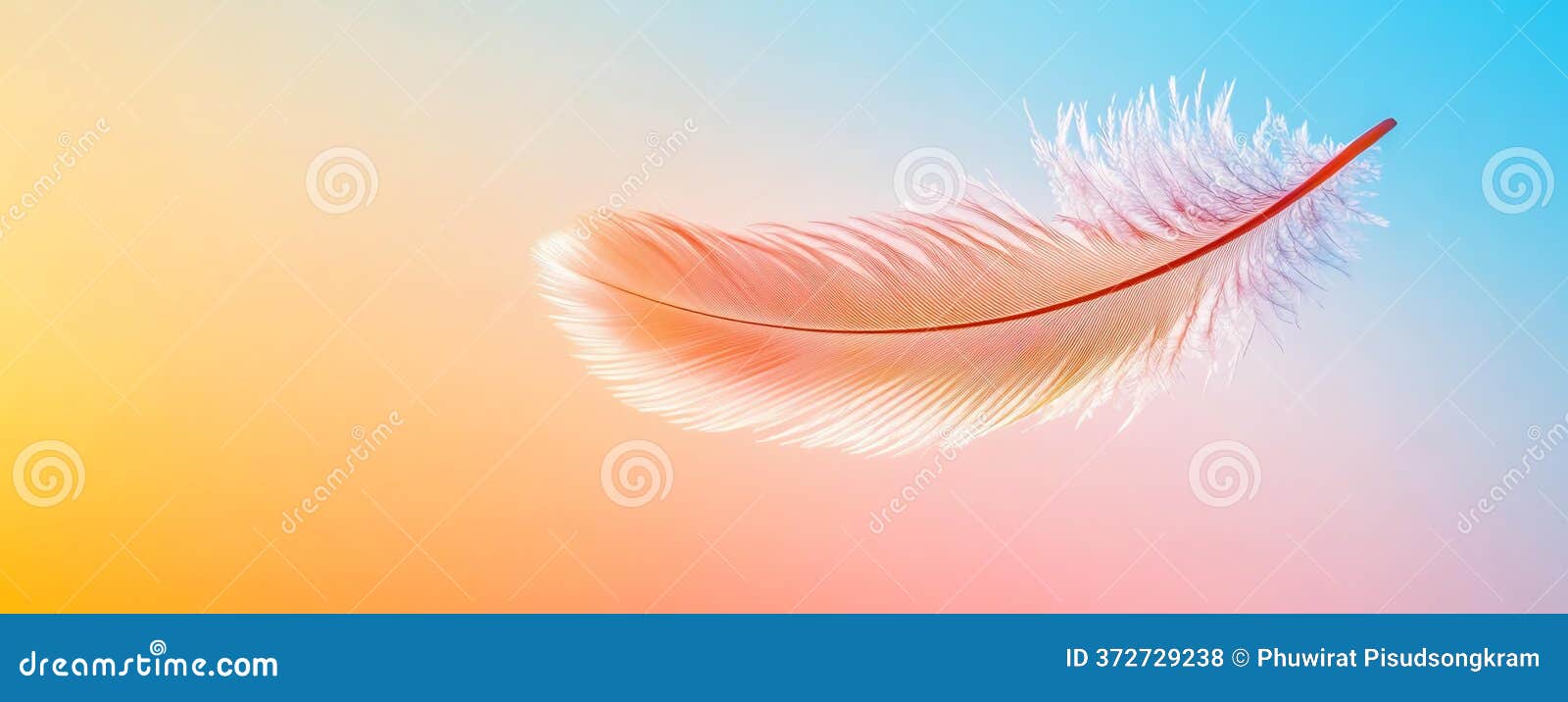 Delicate Feather From An Angel Wing Resting On A Marble Altar, Evoking ...