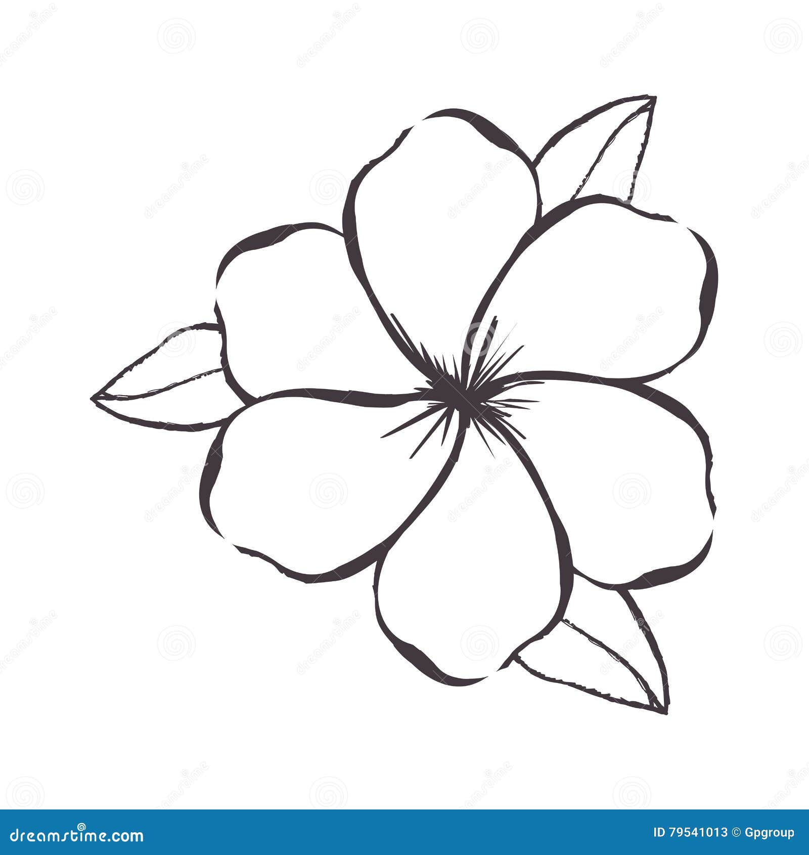 Delicate Flower Drawing Icon Image Stock Vector - Illustration of cute ... Delicate Flower Drawing Icon Image Stock Vector - Illustration of cute ...