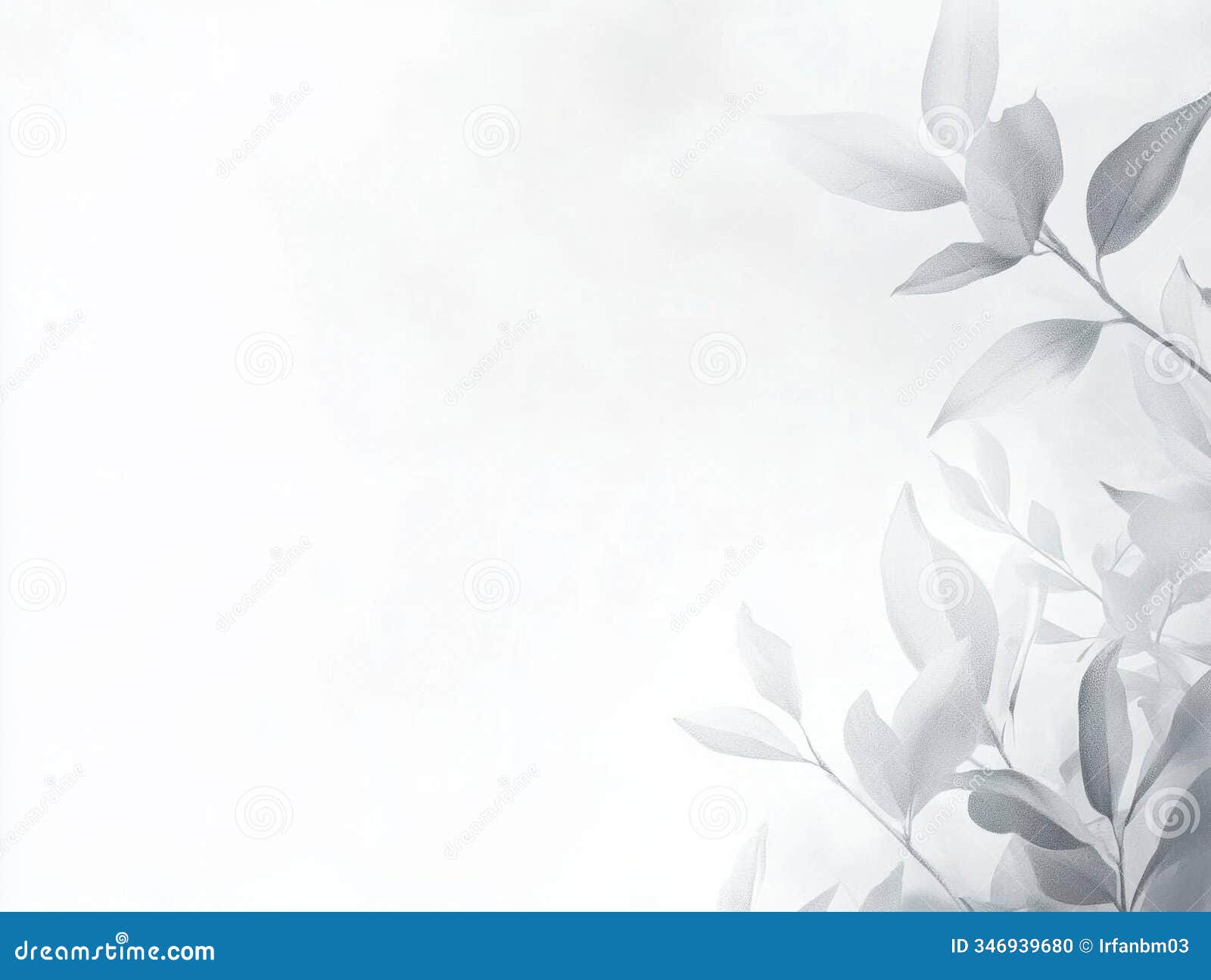 Delicate Foliage Silhouette on White Background Stock Illustration ...