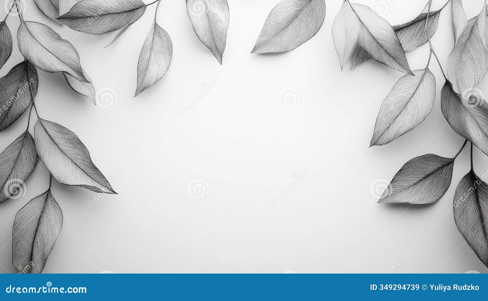 Delicate Hand-Drawn Leaf Border on White Background Creating a ...