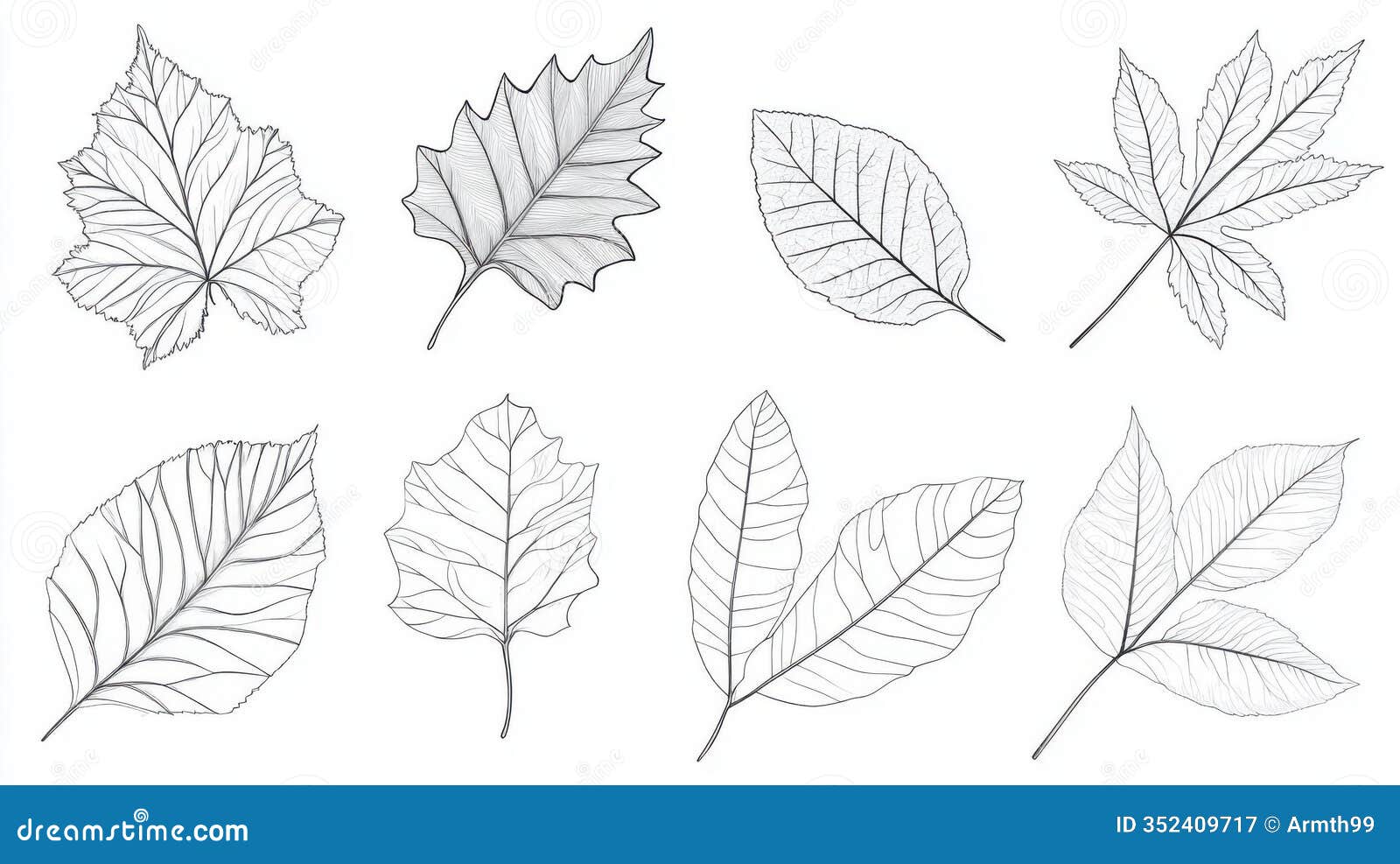 Delicate Leaf Sketches, a Collection of Hand-Drawn Botanical ...