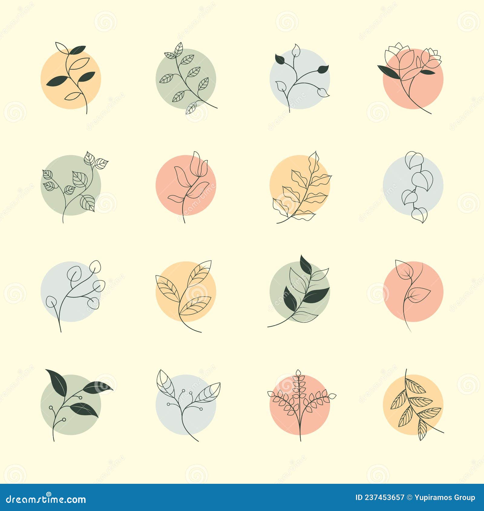 Delicate leaves set stock vector. Illustration of leaf - 237453657