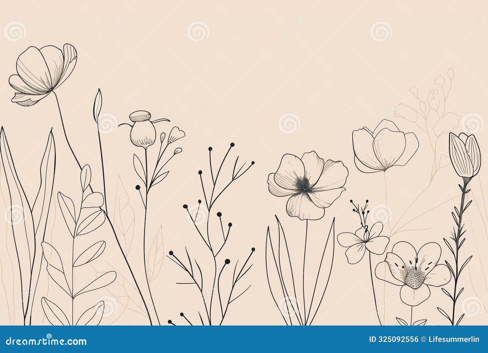 Delicate Line Art of Flowers and Plants Stock Illustration ...