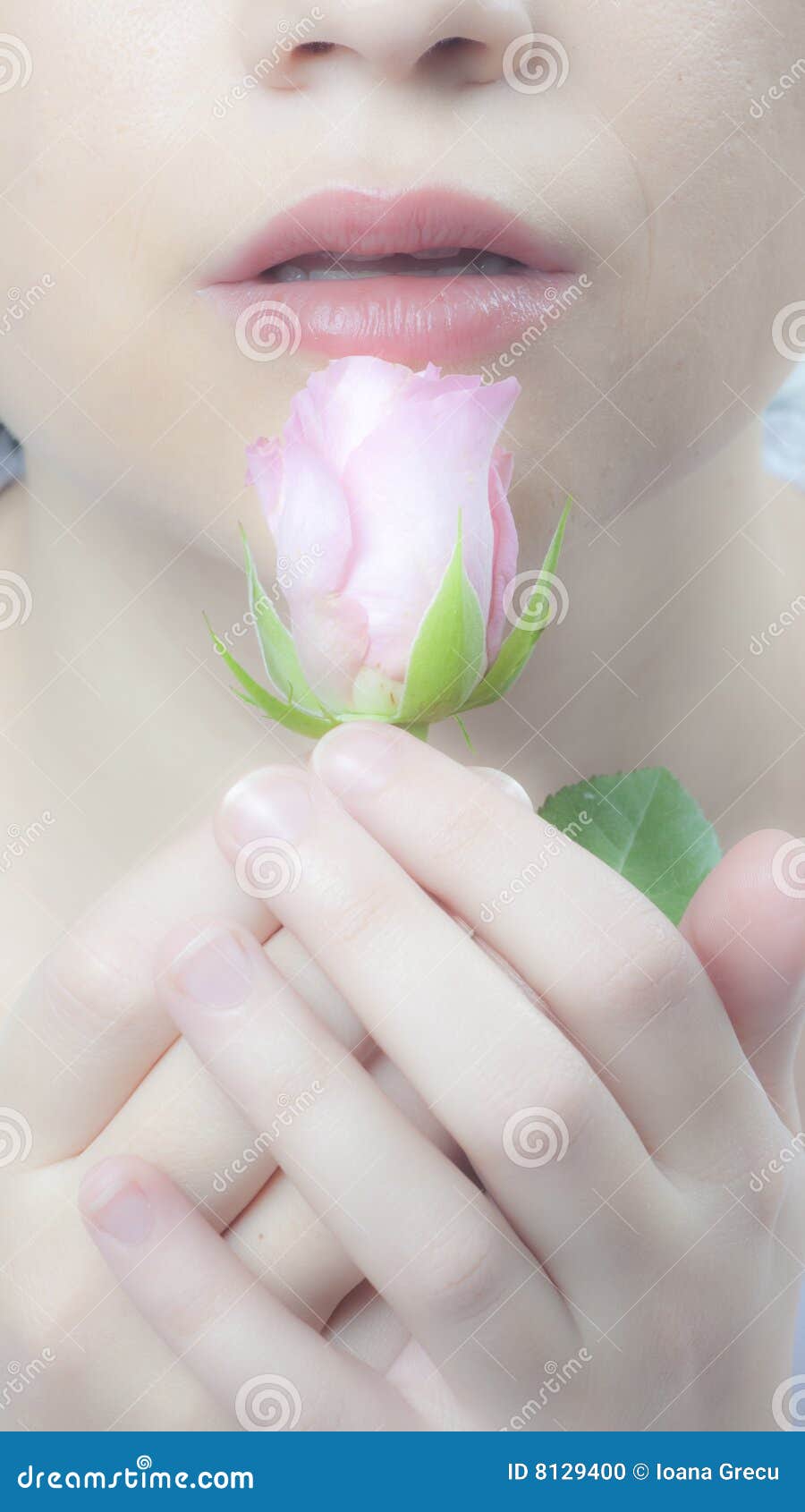 Delicate lips and rose stock photo. Image of skin, natural - 8129400