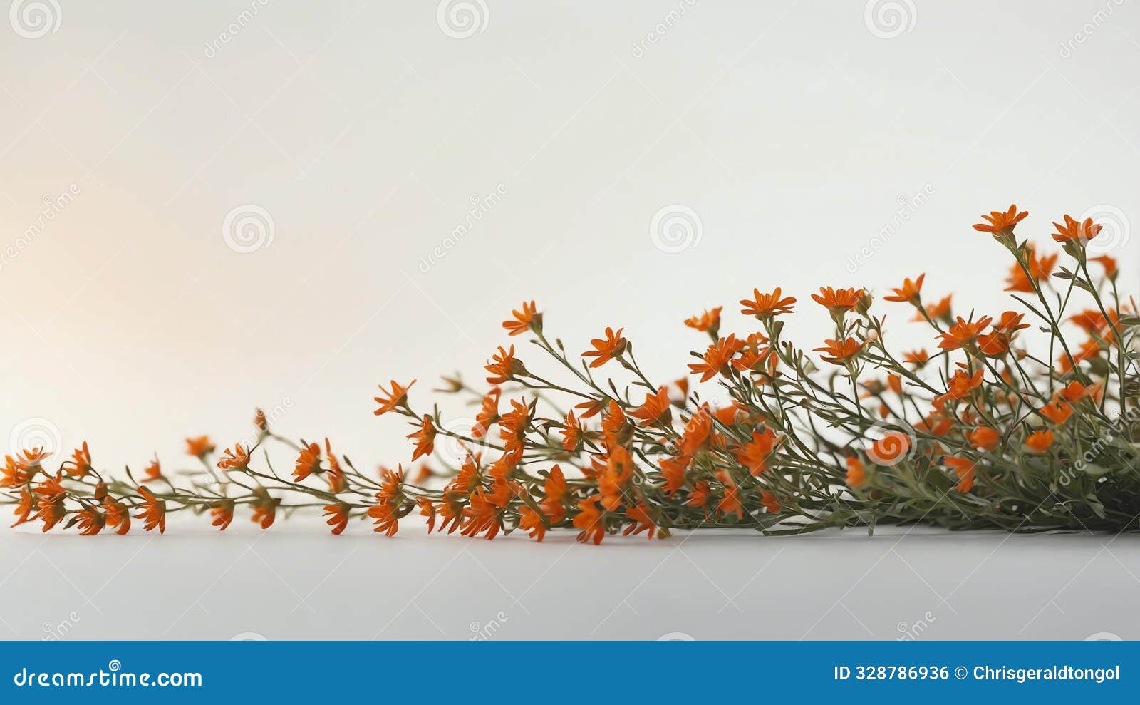 A Delicate Minimalist Narrow Floral Pattern Page Borde Ai Generated ...