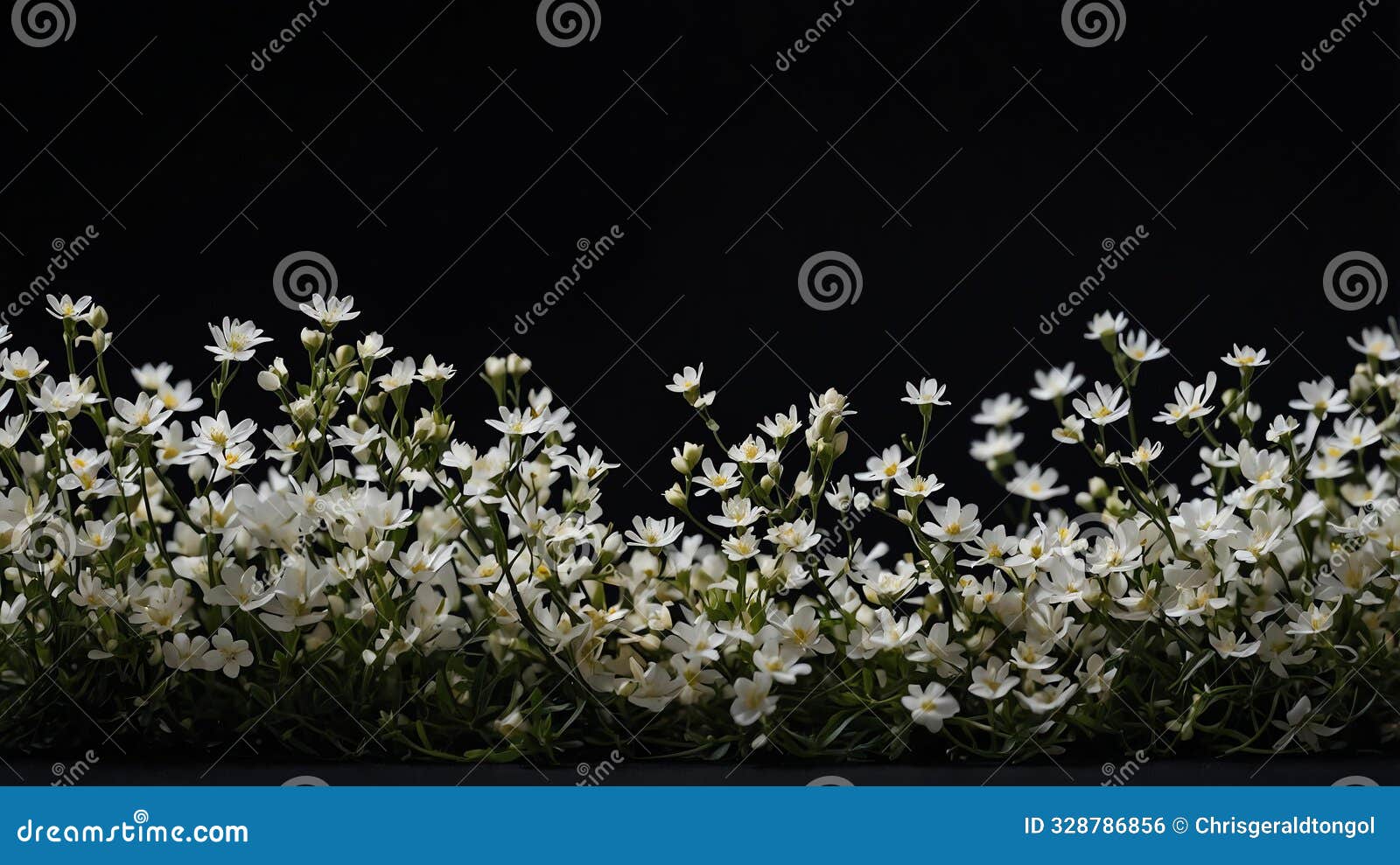 A Delicate Minimalist Narrow Floral Pattern Border Sty Ai Generated ...