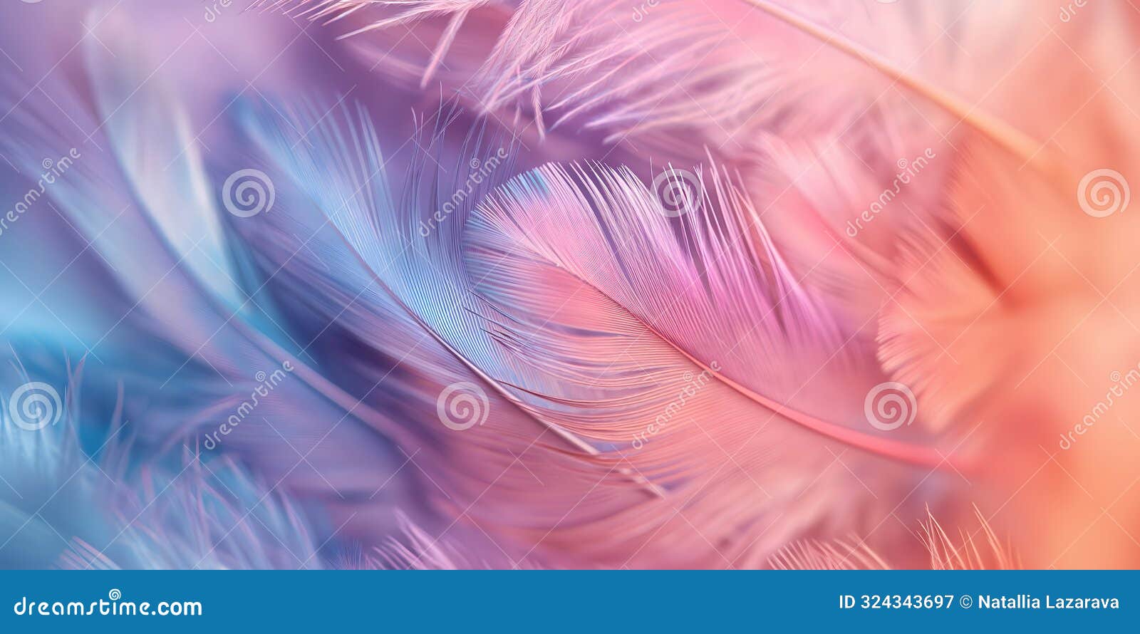 Delicate Pastel-colored Feathers are Ideal for Decorating Delicate ...