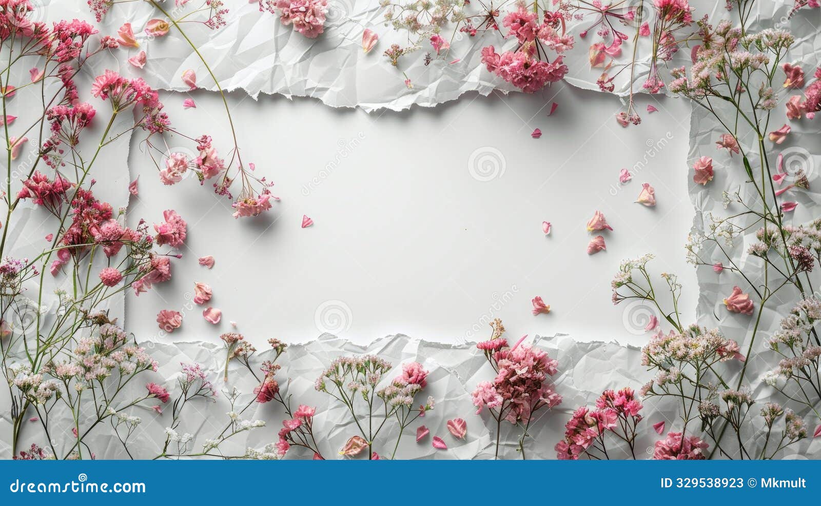 Delicate Pink Flowers Surrounding Torn Edged Paper on White Background ...