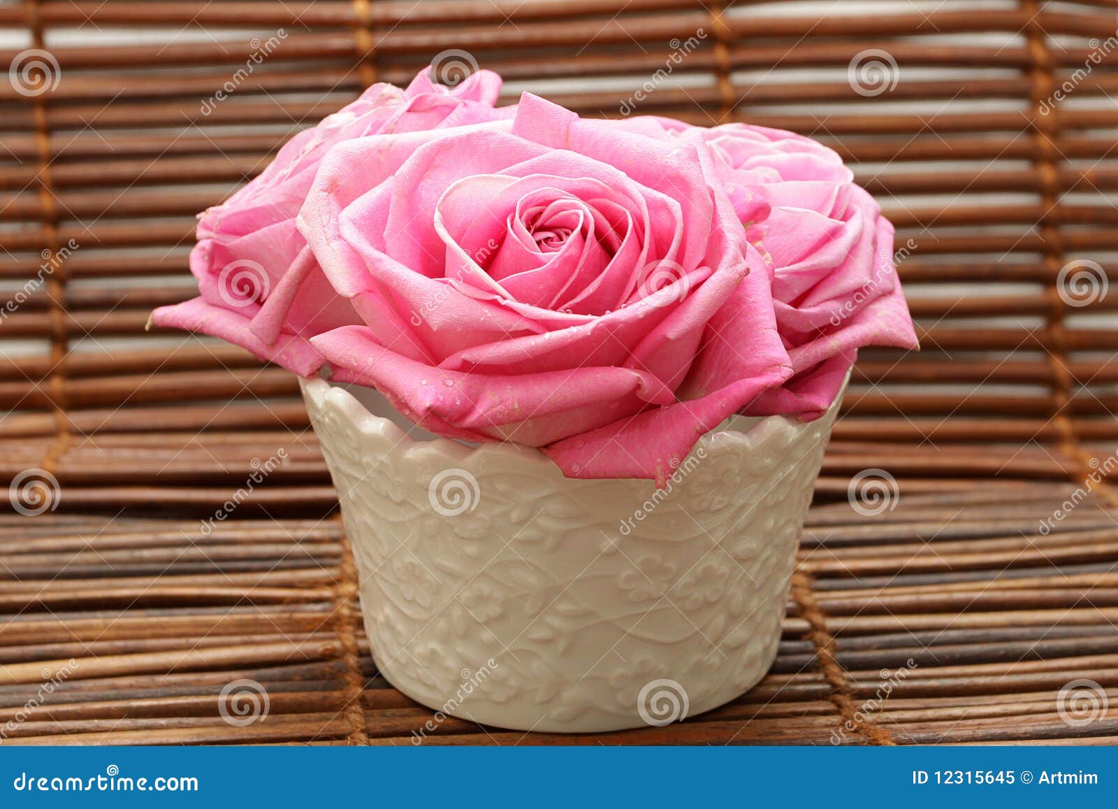 Delicate pink roses stock image. Image of aromatherapy - 12315645