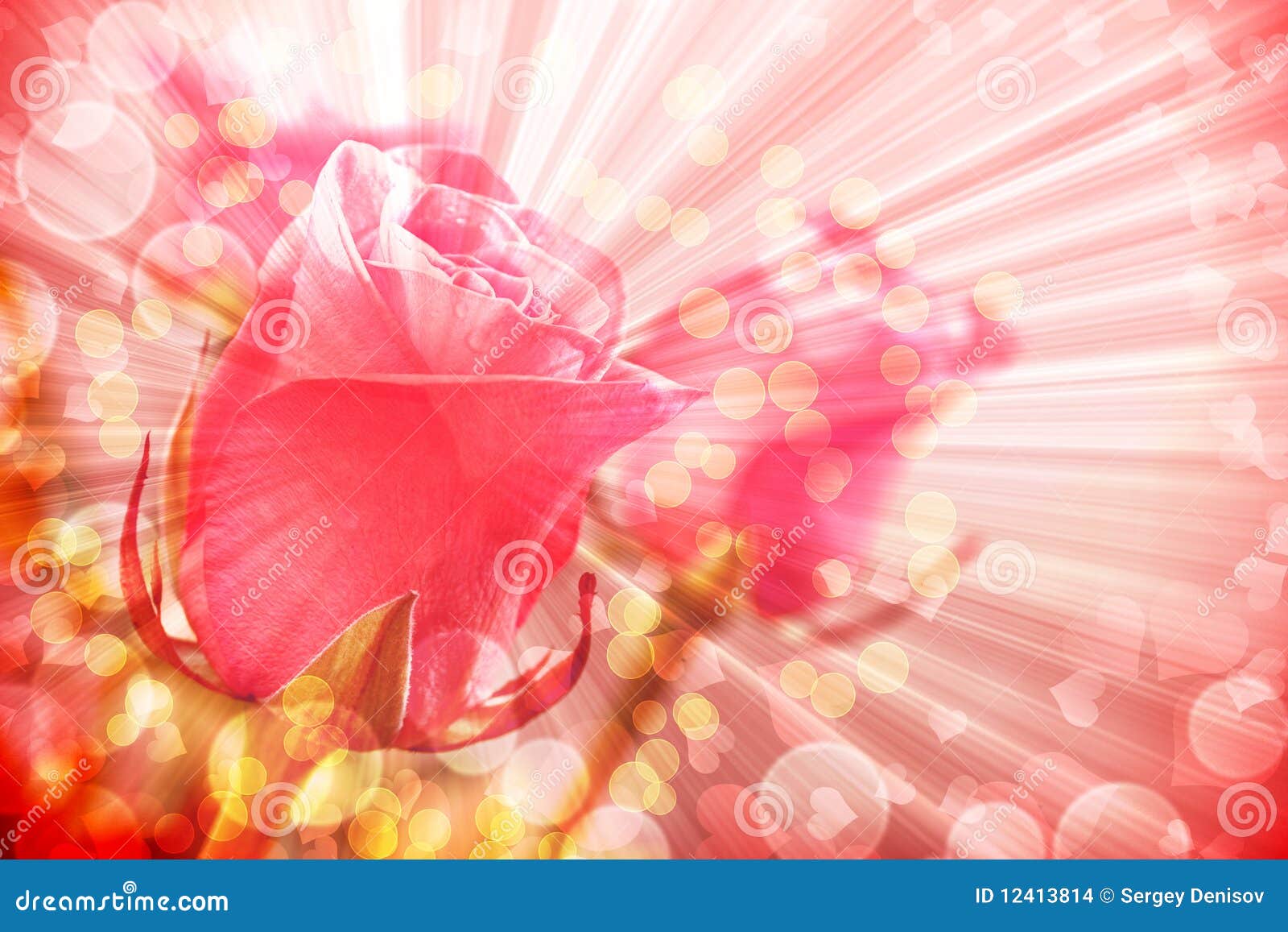 Delicate Rose with Blurred Lights Stock Illustration - Illustration of ...