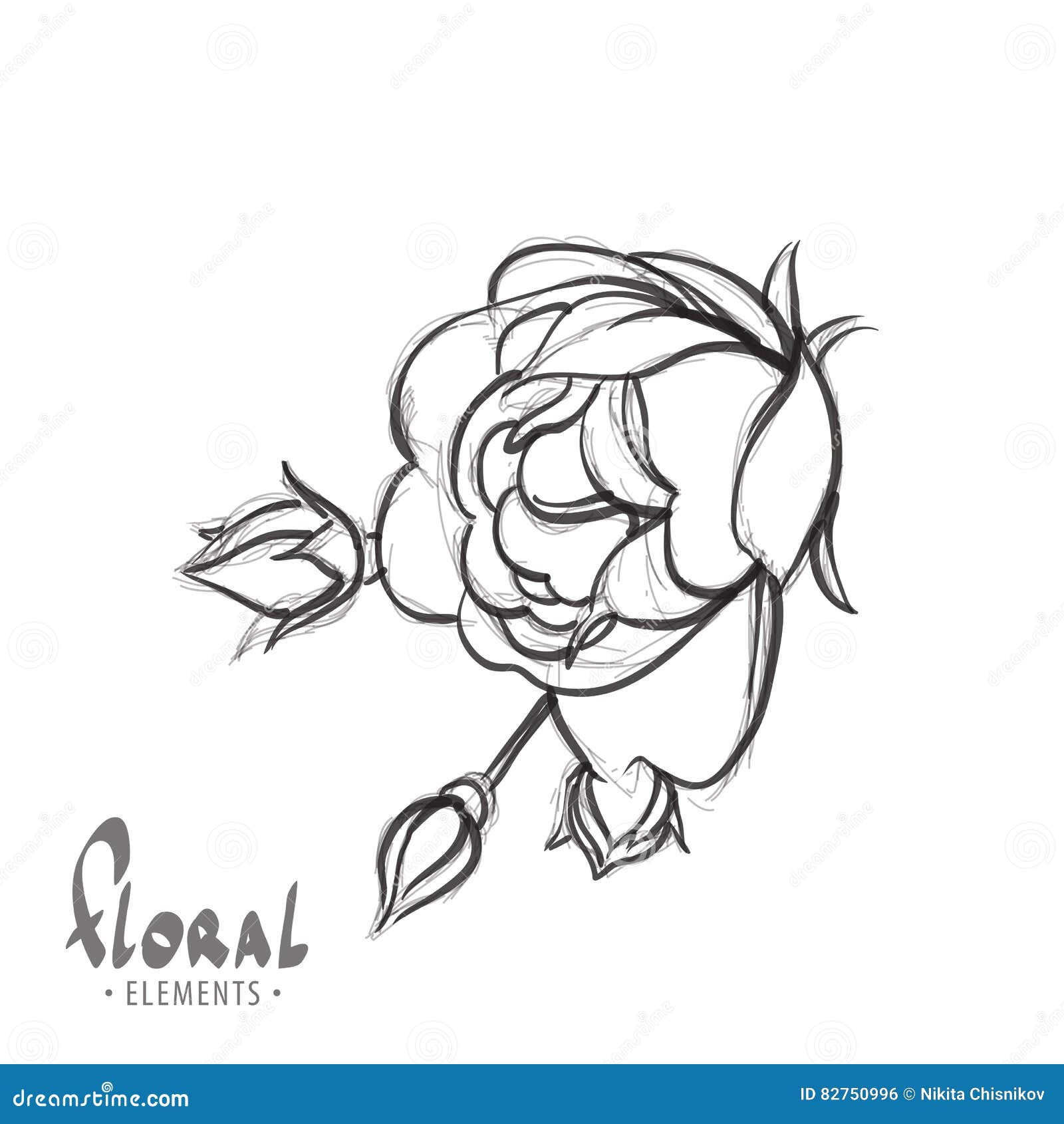 Delicate Rose on a White Background Stock Vector - Illustration of leaf ...