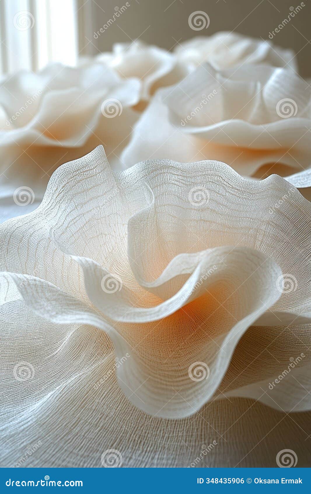 Delicate Sheer Textures with Semi-transparent Patterns, Layers, and ...