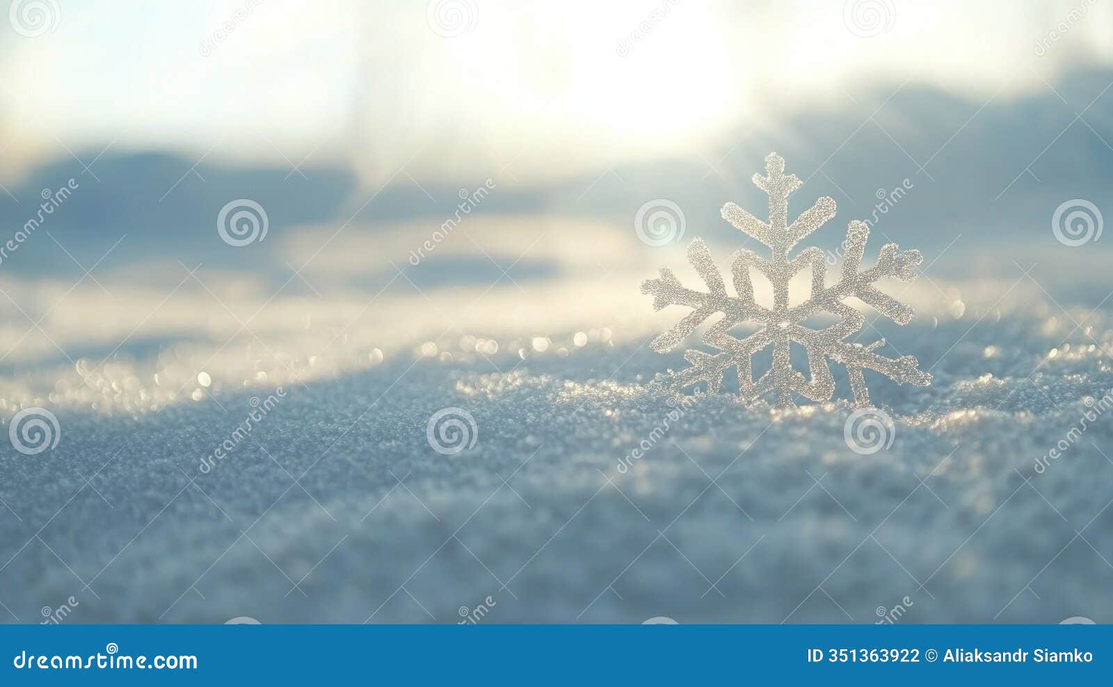 Delicate Snowflake Resting on a Sparkling Snow Surface Stock ...