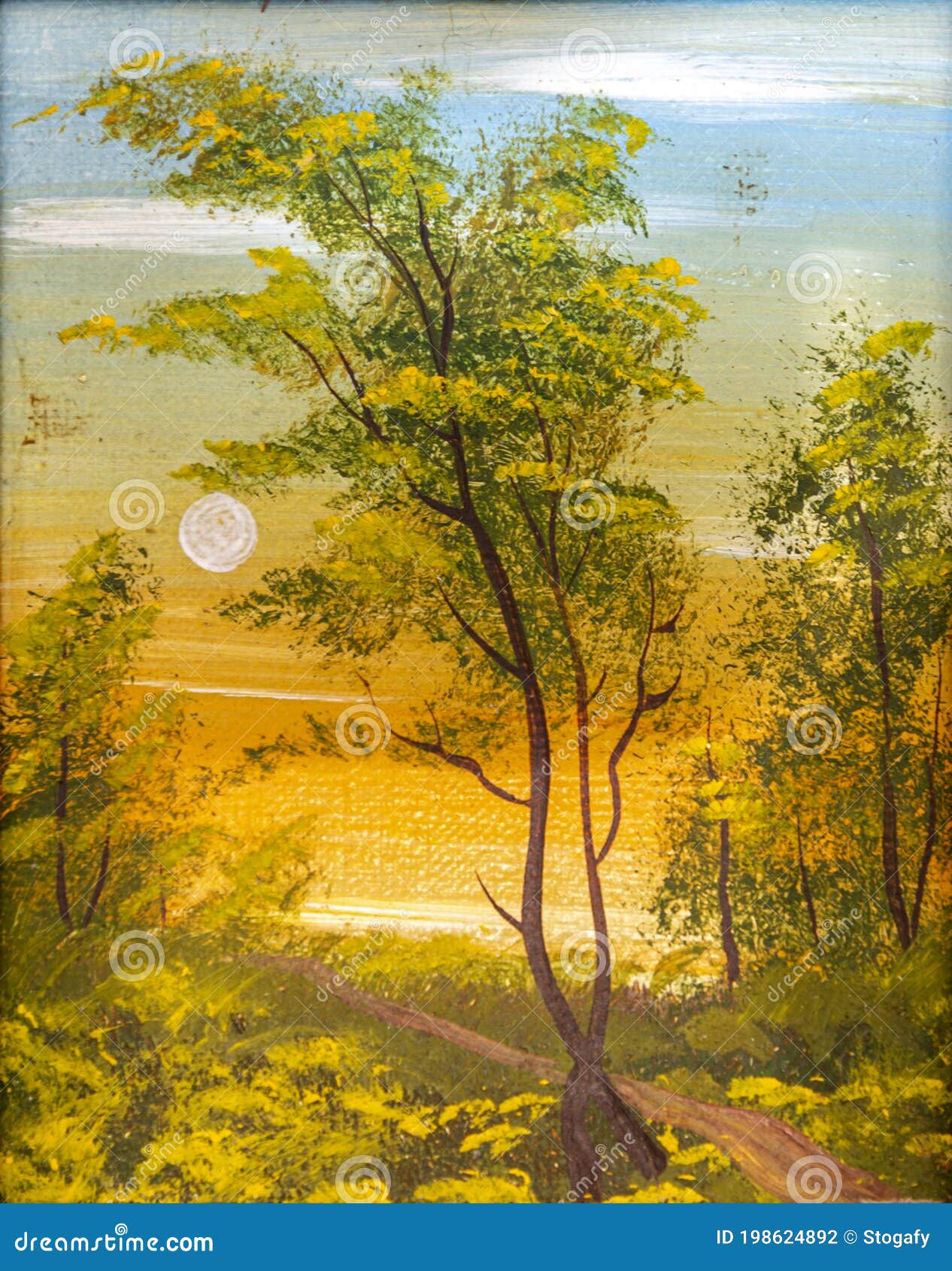 Delicate tree stock photo. Image of graceful, greenery - 198624892