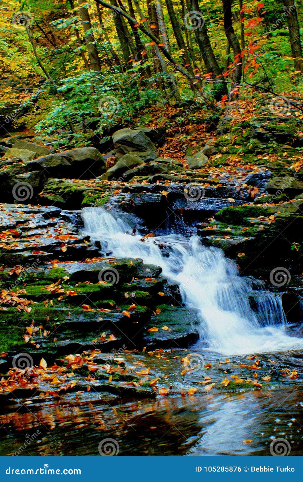 Waterfalls and Fall Leaves stock photo. Image of river - 105285876