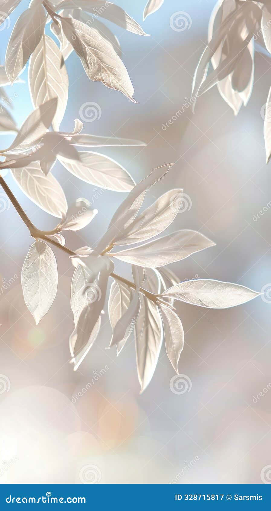 Delicate White Leaves with Sunlight Bokeh Background in Soft Focus ...