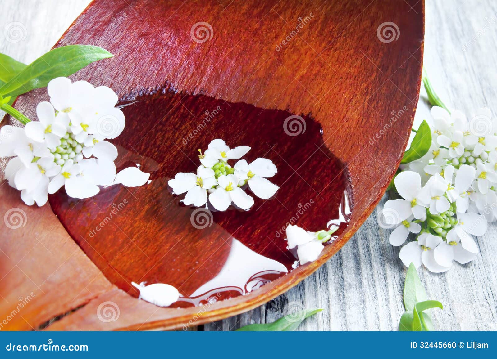 Delicate White Spa Flowers Floating on the Water Stock Photo - Image of ...
