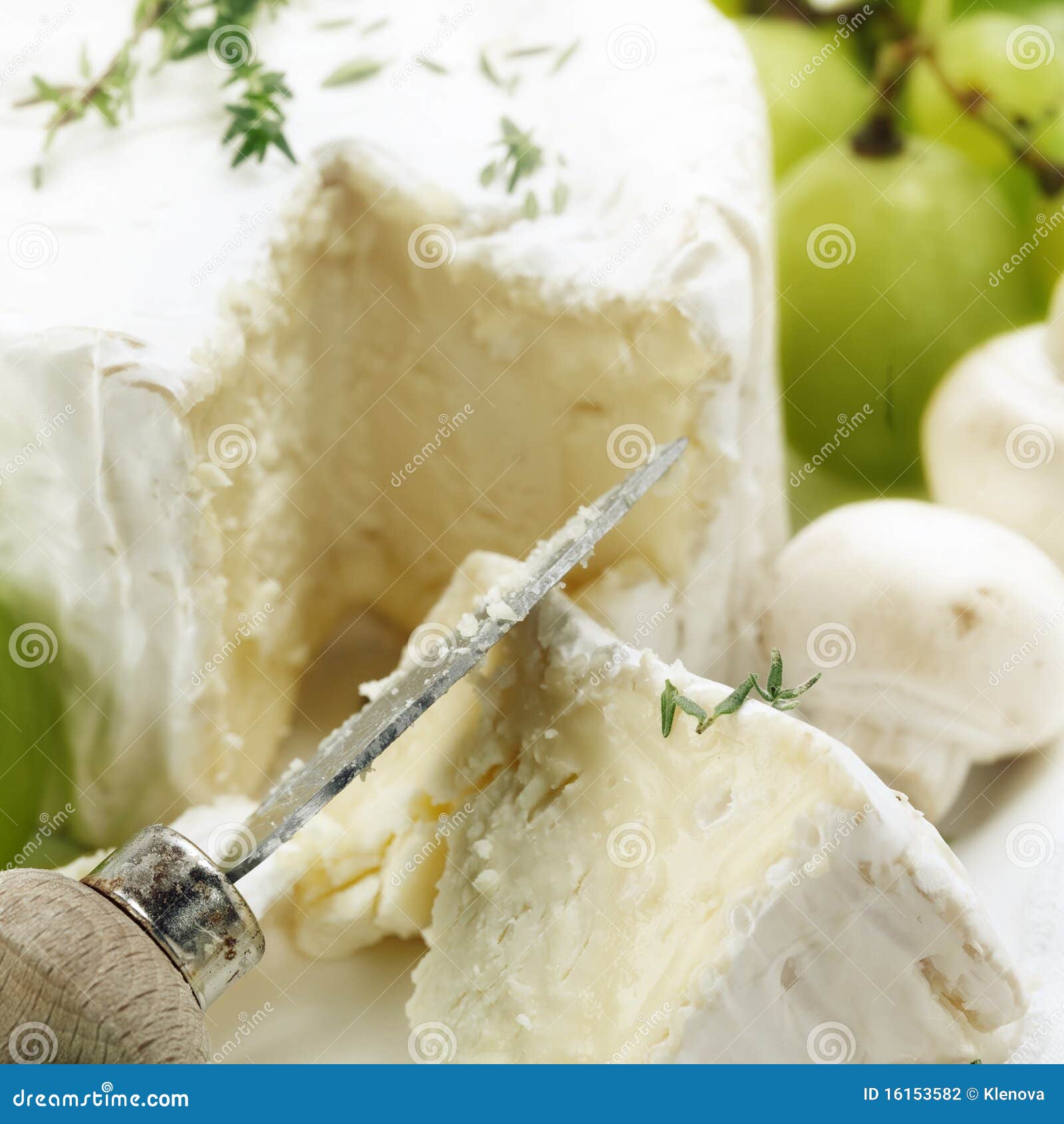 Delicatessen cheese stock photo. Image of health, slice - 16153582