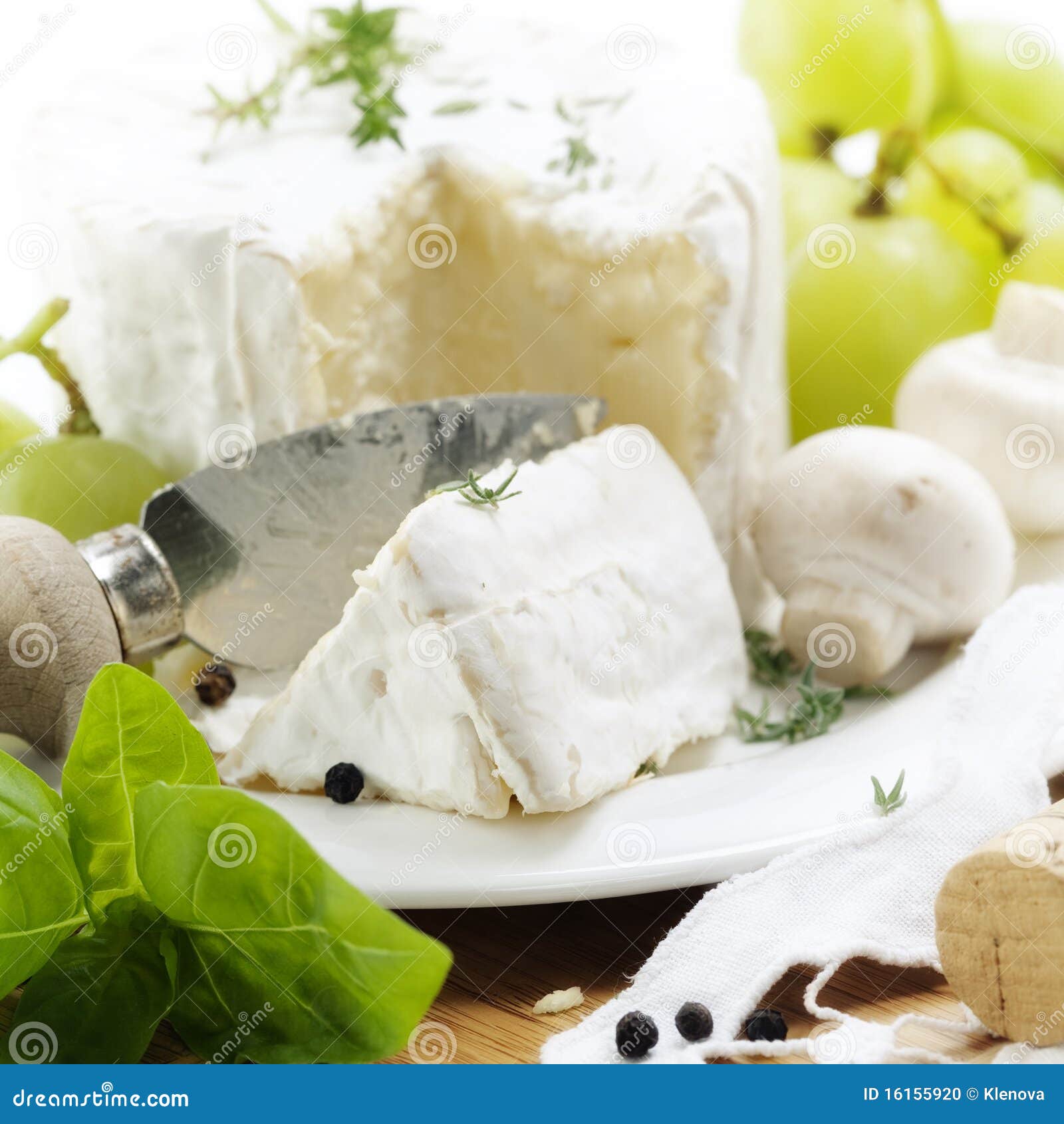 Delicatessen cheese stock photo. Image of knife, swiss - 16155920