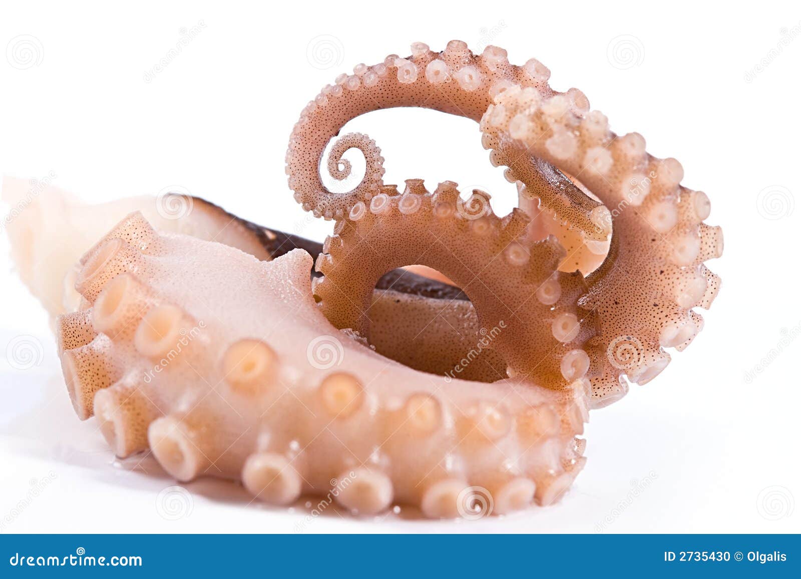 Delicatessen Octopus Seafood Stock Photo - Image of cocktail, delicacy ...