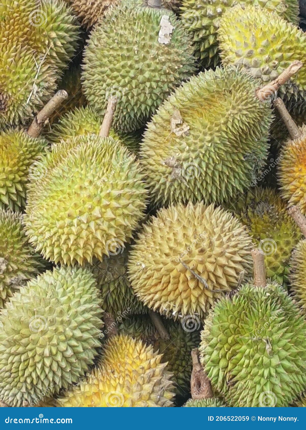 Delicioso Dulce Sabor a Fruta Duriana Imagen de archivo - Imagen de ...