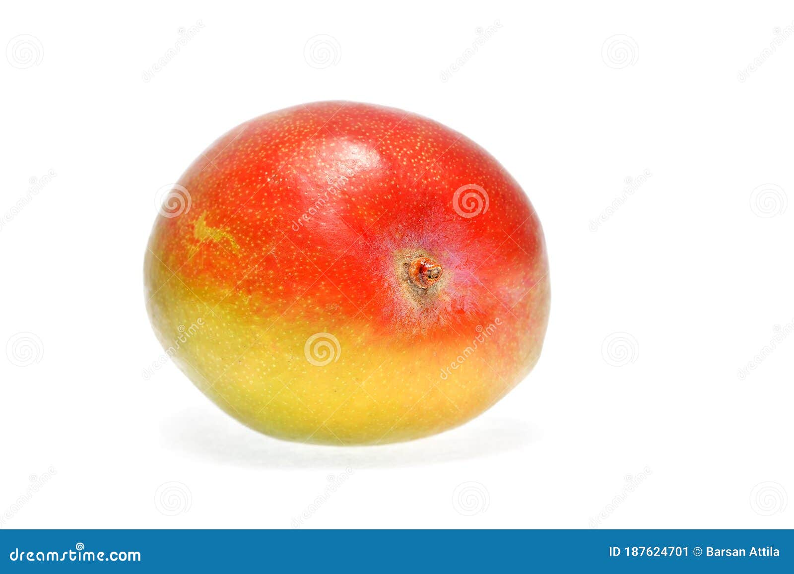 Delicioso Fruto De Mango Con Fondo Blanco Imagen de archivo - Imagen de ...