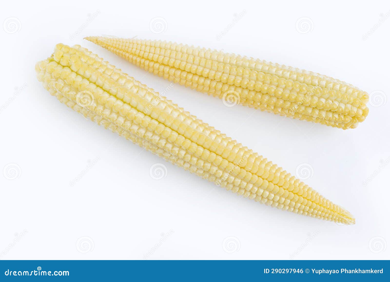 Delicious Baby Corn on a White Background. Young Small Corn, Top View ...